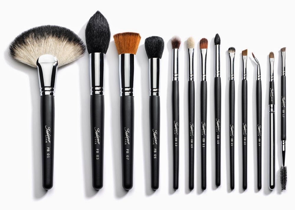 Sedona Makeup Brushes Review | Saubhaya Makeup